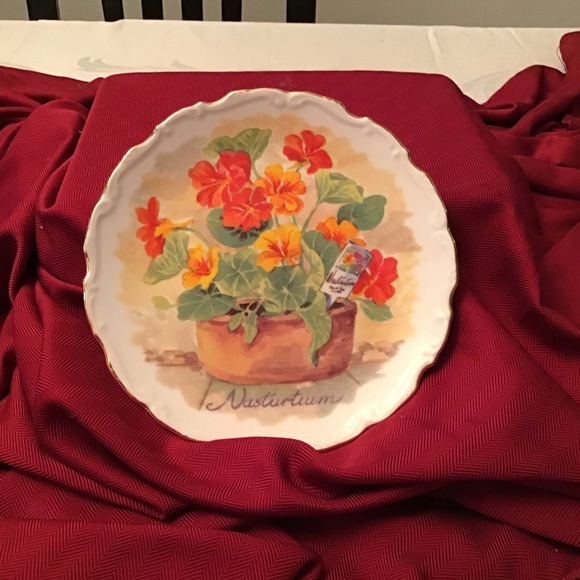 Vintage | Accents | Royal Vale Floral Decorative Plate | Poshmark